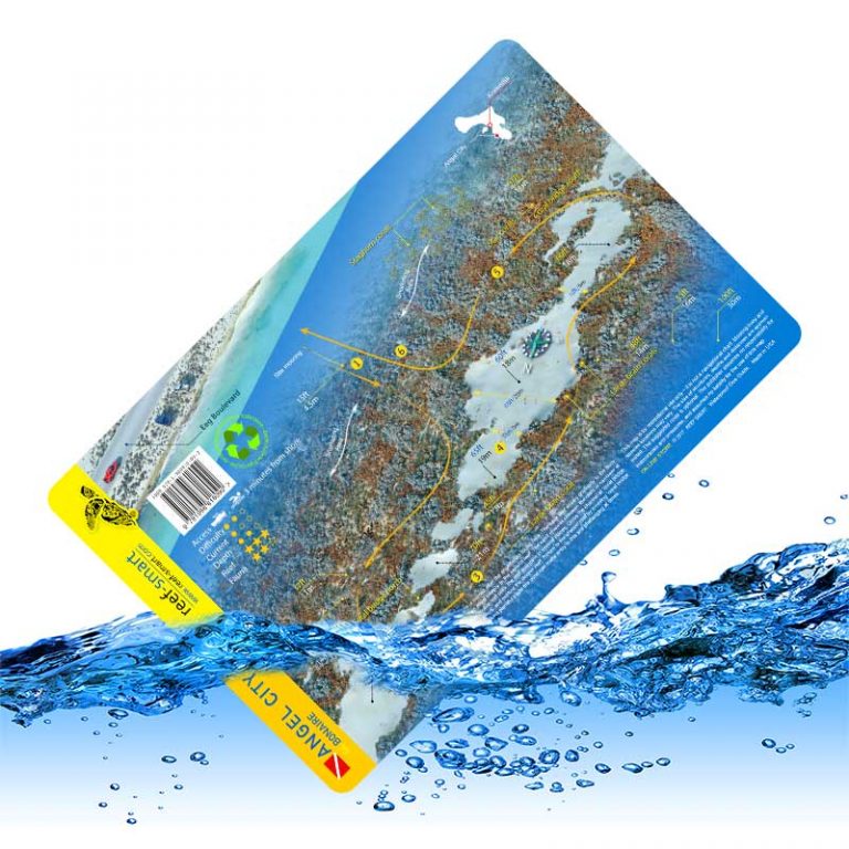 Waterproof Cards - Reef Smart Guides