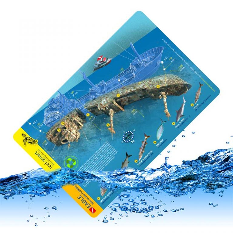 Eagle - Reef Smart Guides