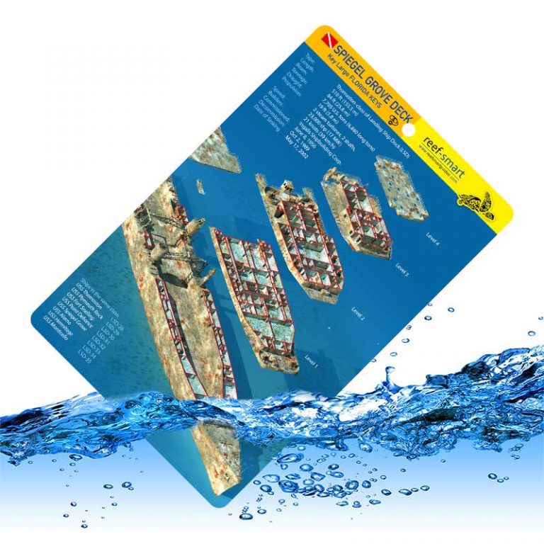 Spiegel Grove Deck Plan - Reef Smart Guides