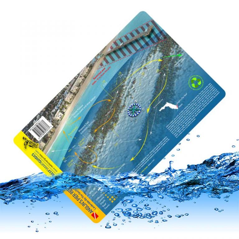 Anglin’s Pier Reef - Reef Smart Guides