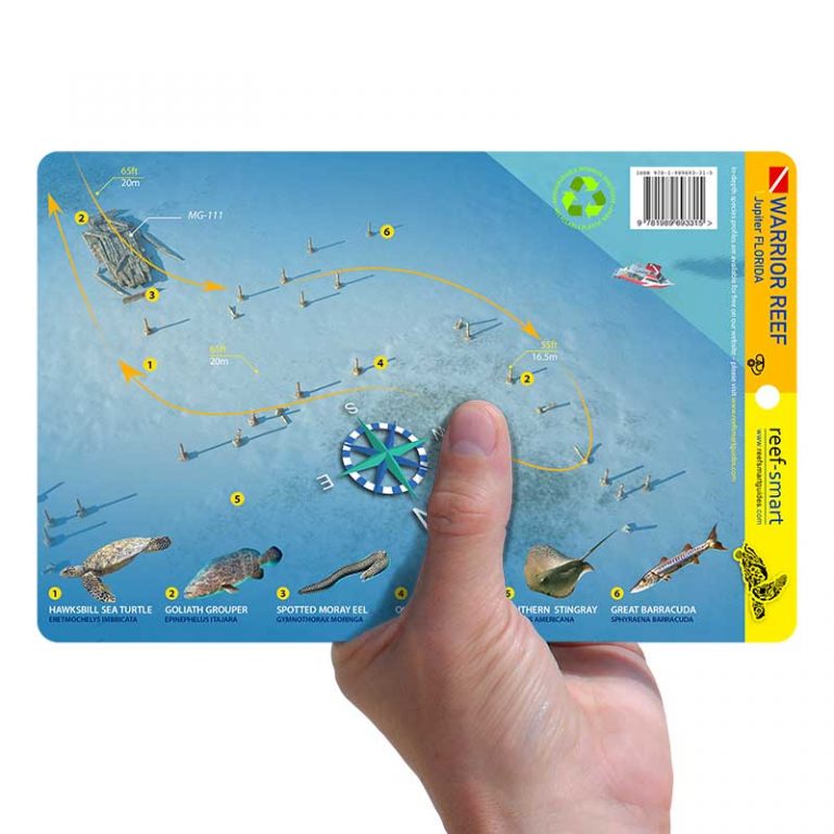 MG-111 and Warrior Reef - Reef Smart Guides