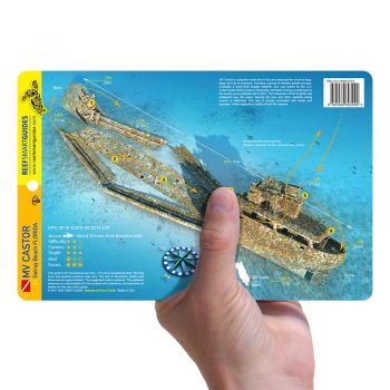 MV Castor - Reef Smart Guides