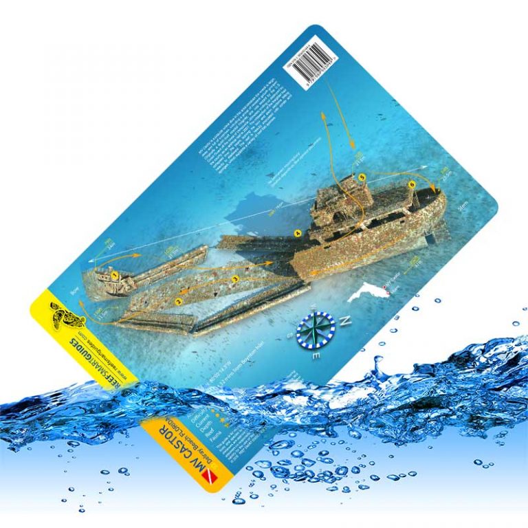 MV Castor - Reef Smart Guides