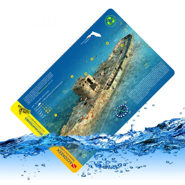 Waterproof Cards - Reef Smart Guides