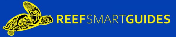 Red Snapper - Reef Smart Guides