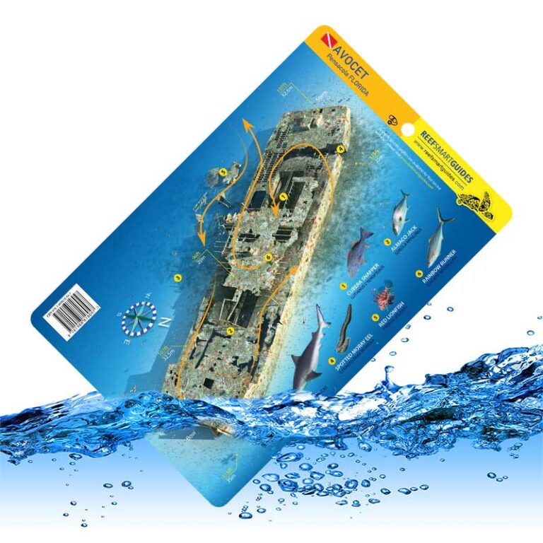 Waterproof Cards - Reef Smart Guides