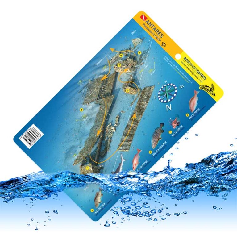 Waterproof Cards - Reef Smart Guides