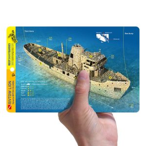 Rivtow Lion - Reef Smart Guides