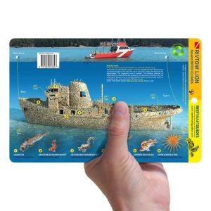 Rivtow Lion - Reef Smart Guides