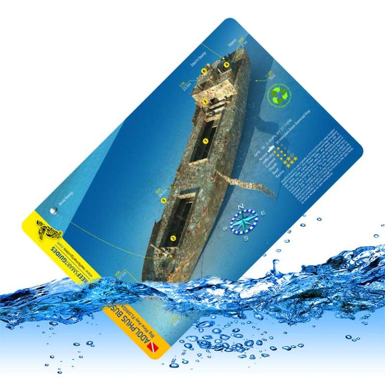 Adolphus Busch - Reef Smart Guides