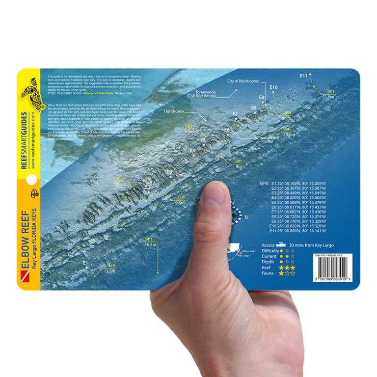 Elbow Reef - Reef Smart Guides