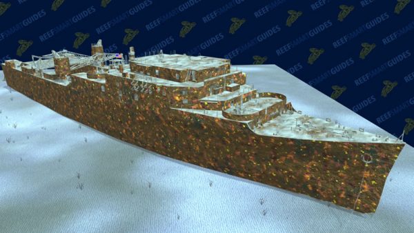 3D Model examples - Reef Smart Guides