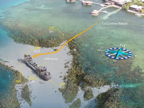 Partner Services - Reef Smart Guides