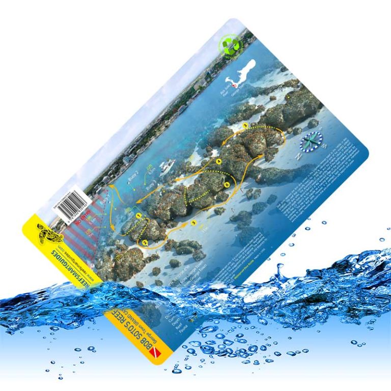 Bob Soto’s Reef - Reef Smart Guides