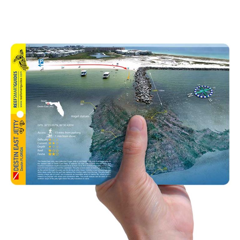 Destin East Jetty - Reef Smart Guides