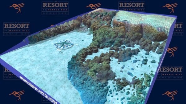 CORAL REEFS - Reef Smart Guides